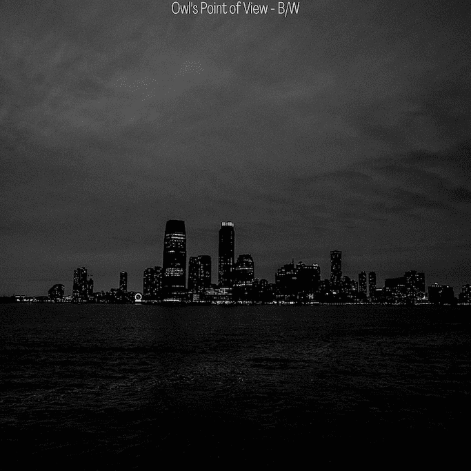 Owl's Point of View | 無料で使える、商用利用可能な効果音や音楽